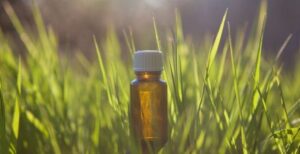 Top 6 Natural PDE-5 Inhibitors